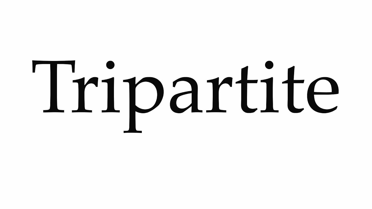 How to Pronounce Tripartite - YouTube