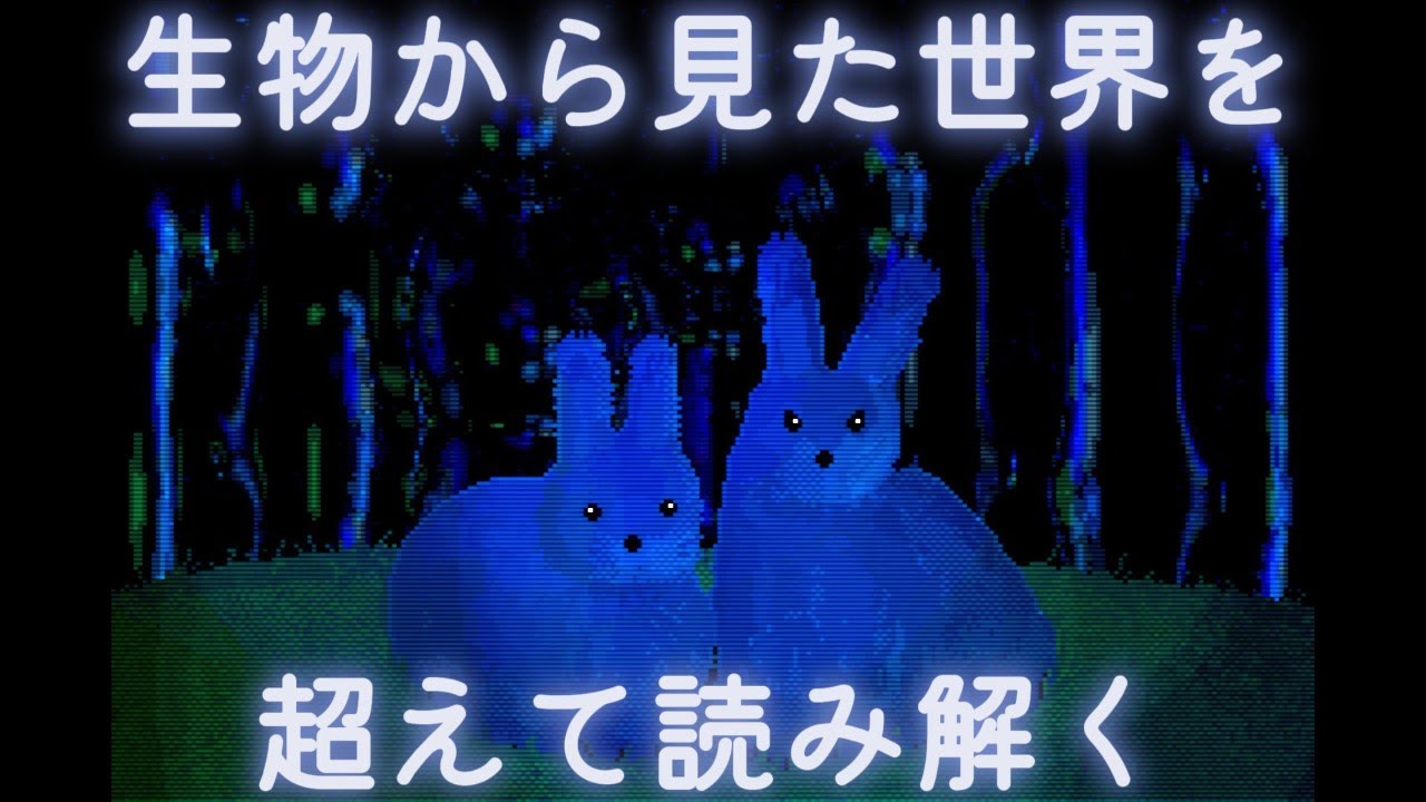 『ANIMAL WELL』（Billy Basso）〜生物から見た世界を超えて読み解く〜 - YouTube