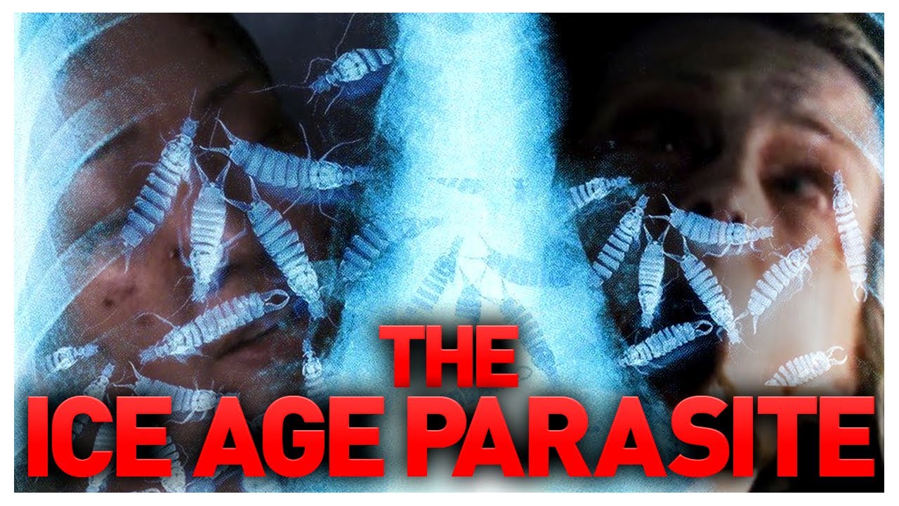 The Thaw Parasite Explored | How the Immune System Tries and Fails to ...