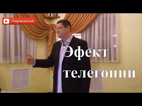 Эффект телегонии. Эффект Телегонии шокирующие факты. Наука телегонии. Сарвасатья