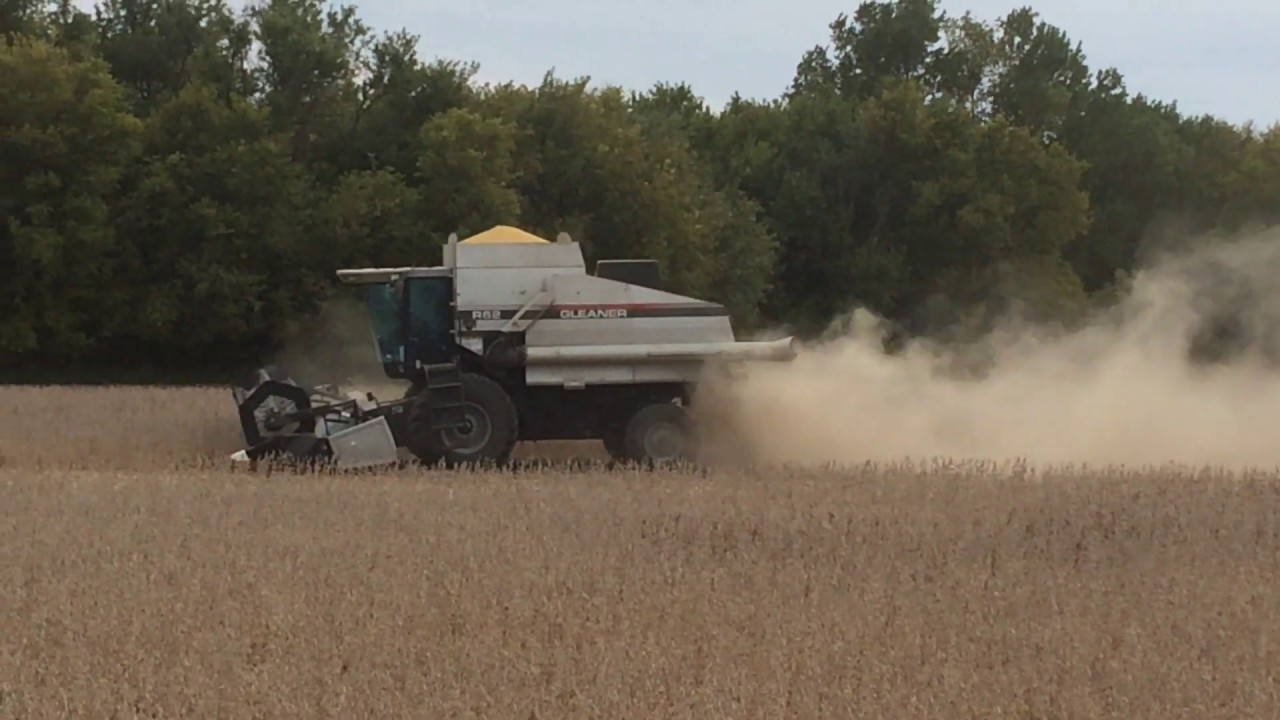 2019 Soybean Harvest with Gleaner R62 combine - YouTube
