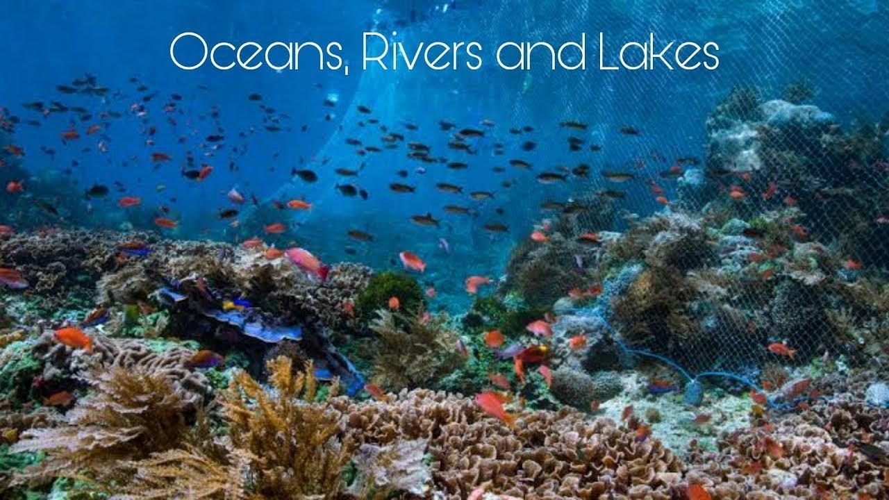 oceans, Rivers and seas. #Oceans #river #seas #definitions #difference ...