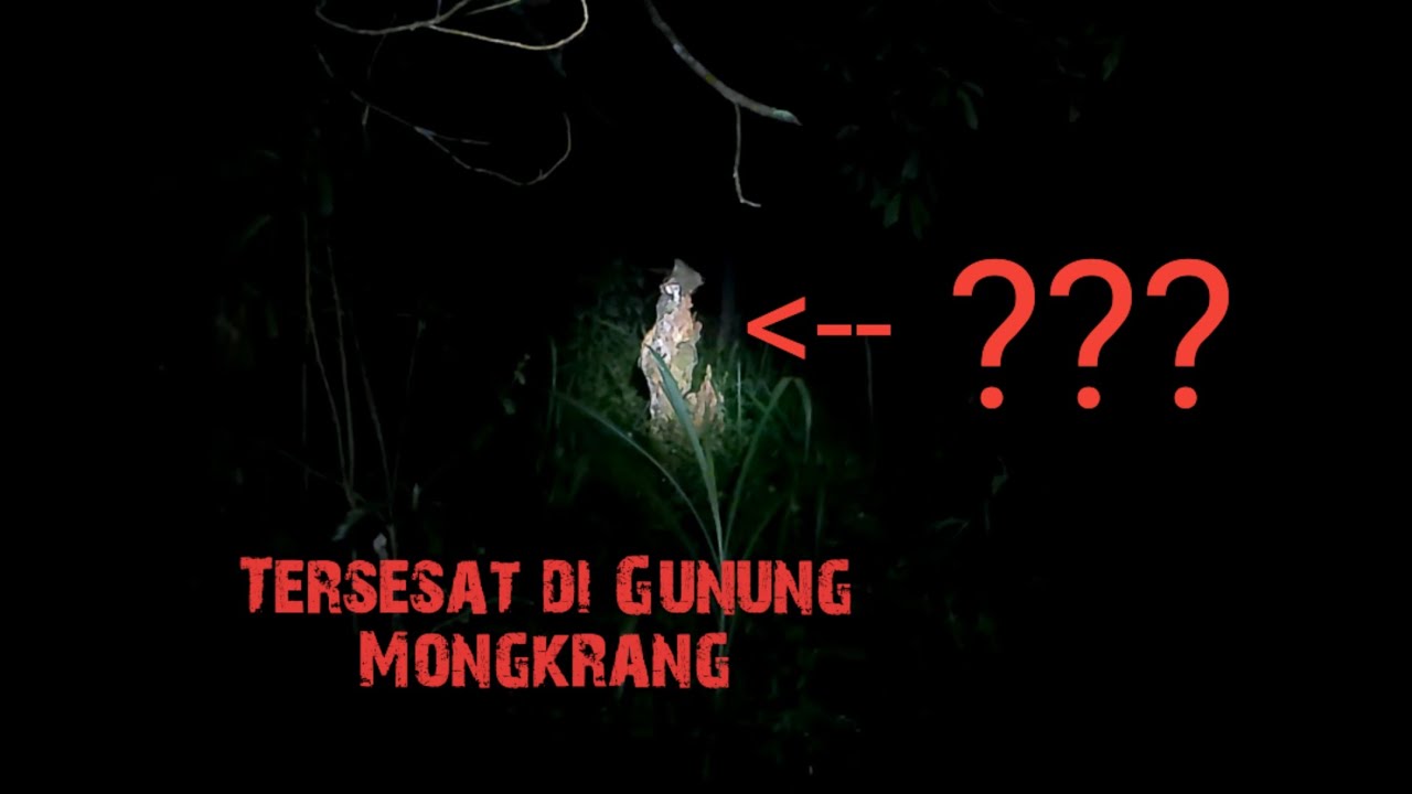 Track Gunung Mongkrang 2194 mdpl via Jobolarangan, Malam Hari - YouTube