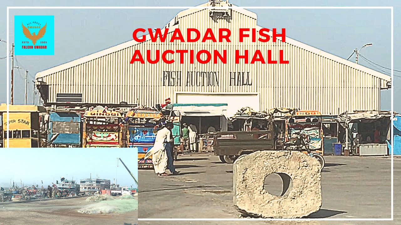 Gwadar Fishing Jetty | Fish Auction Hall #gwadar #fishing @falcongwadar ...