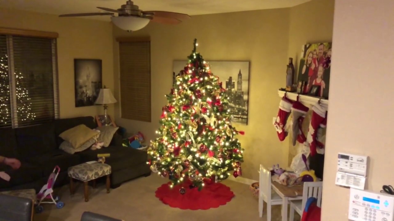 Christmas Tree Time-lapse - YouTube