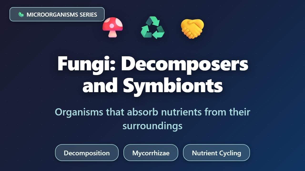 Fungi: Decomposers and Symbionts Explained | Microorganisms Series ...