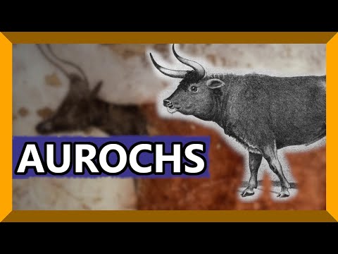 Habitat, chasse et extinction de l'aurochs