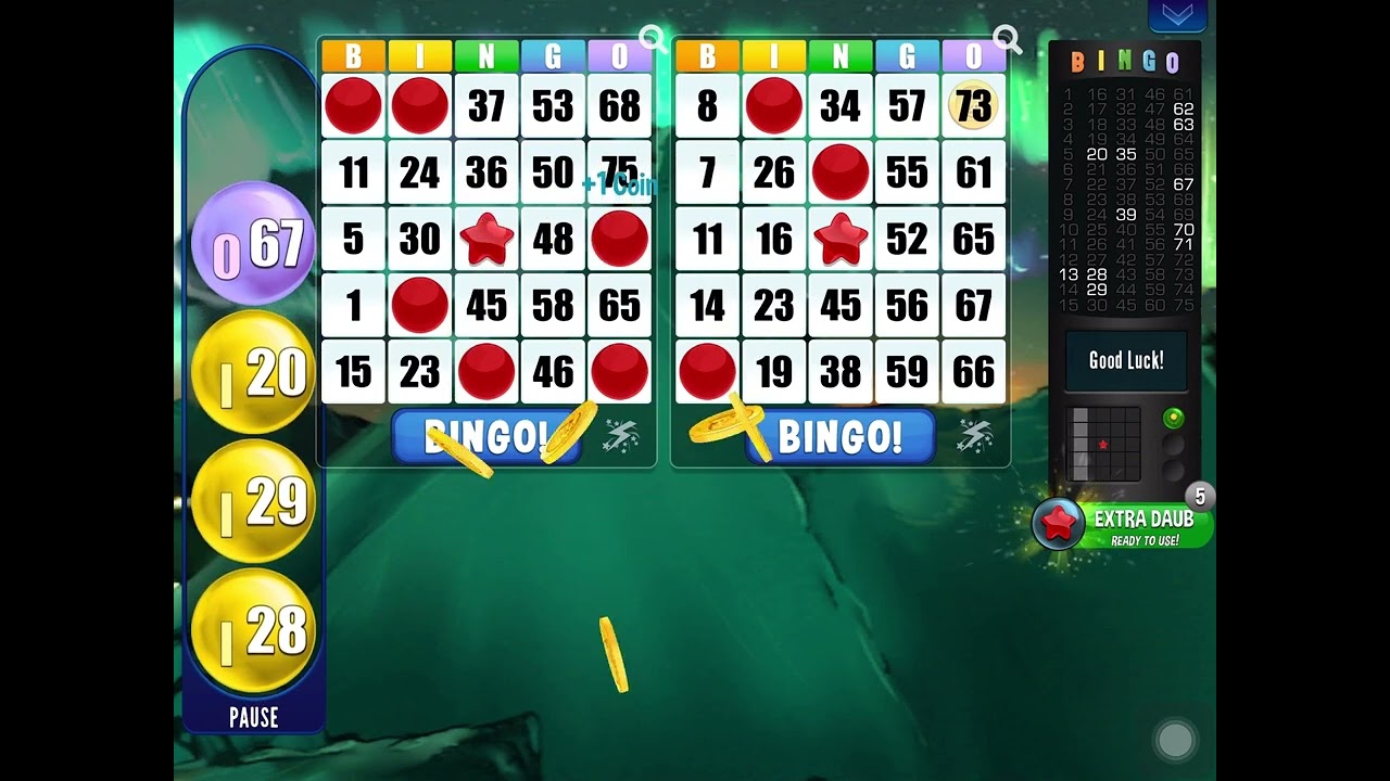 Absolute Bingo level 1 - YouTube