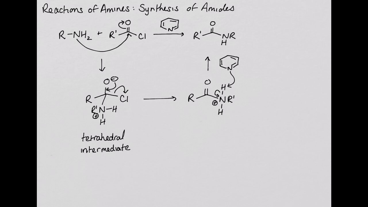 CHEM 222: Reactions of Amines: Synthesis of Amides - YouTube