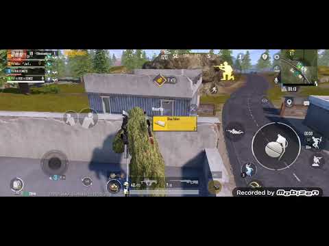 6 kill chicken dinner video