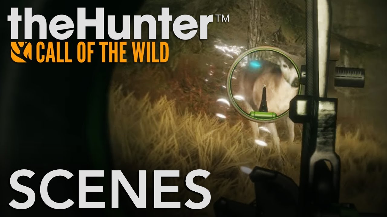 Scene: theHunter: Call of the Wild - Night hunt for deer at Balmont ...