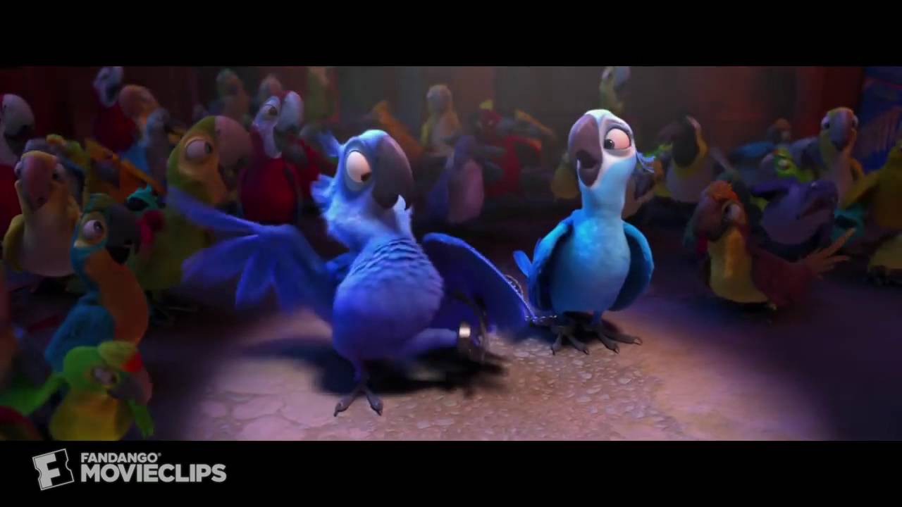 Rio 5 5 Movie CLIP I Wanna Party 2011 HD 1 - YouTube