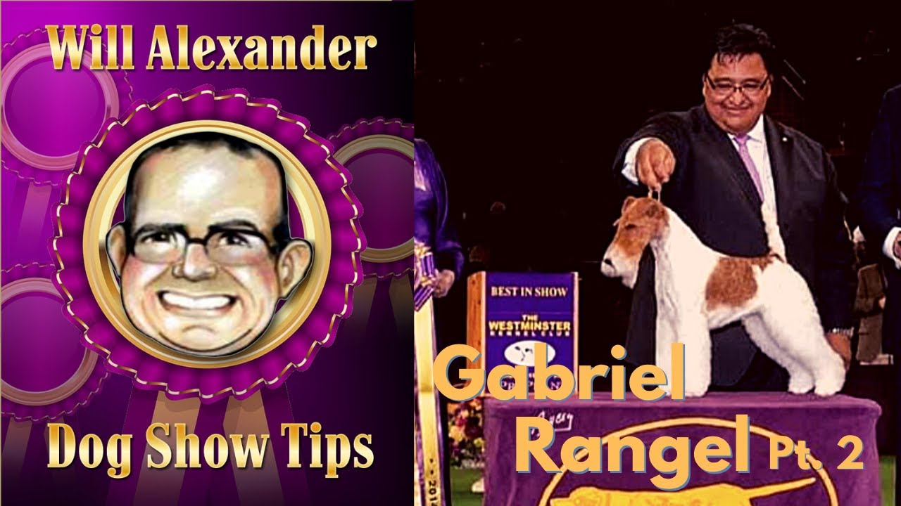 DST Will Alexander Interview with Gabriel Rangel Pt 2 - YouTube