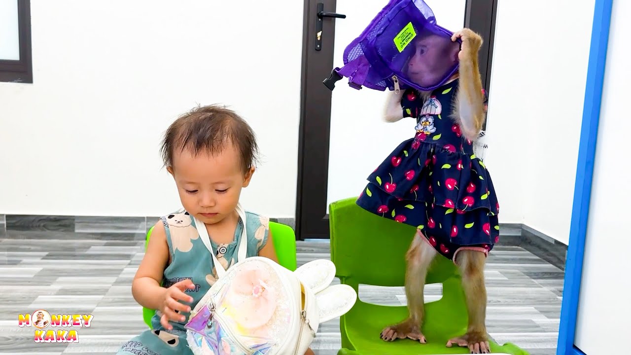 Monkey Kaka and Diem studying together with their mom was fun - YouTube