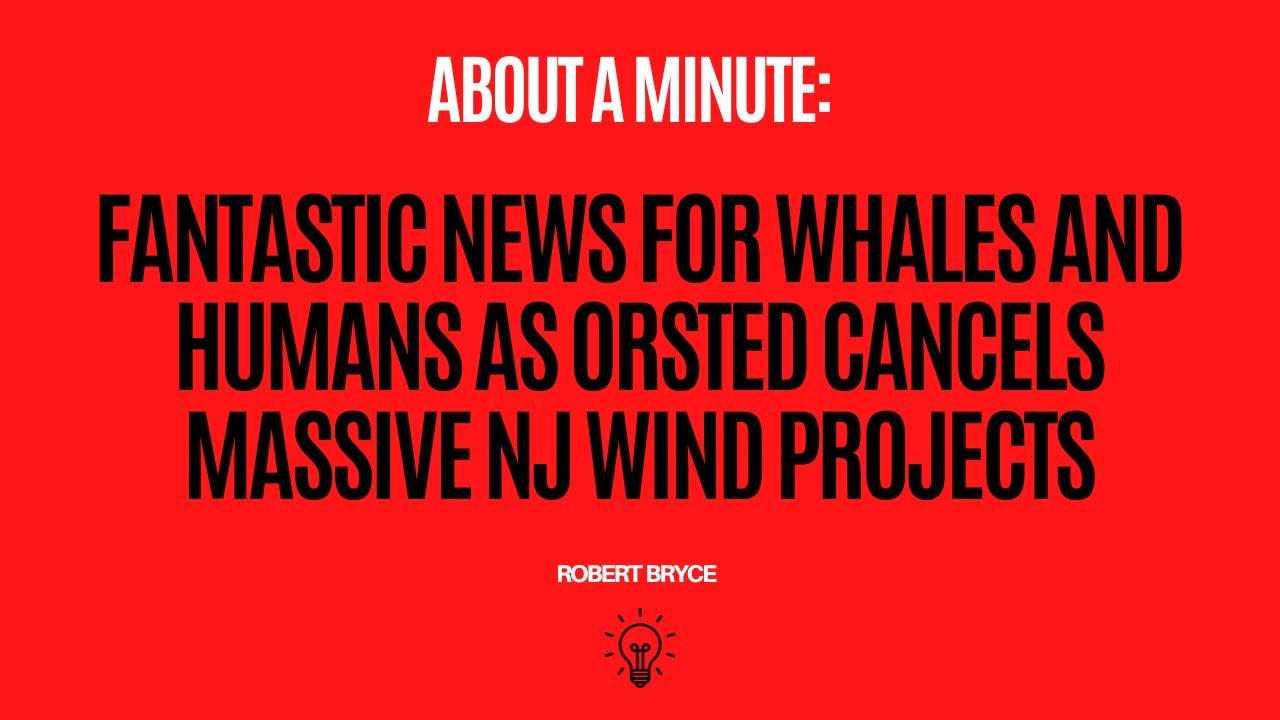 Fantastic News For Whales And Humans As Orsted Cancels Massive NJ Wind ...