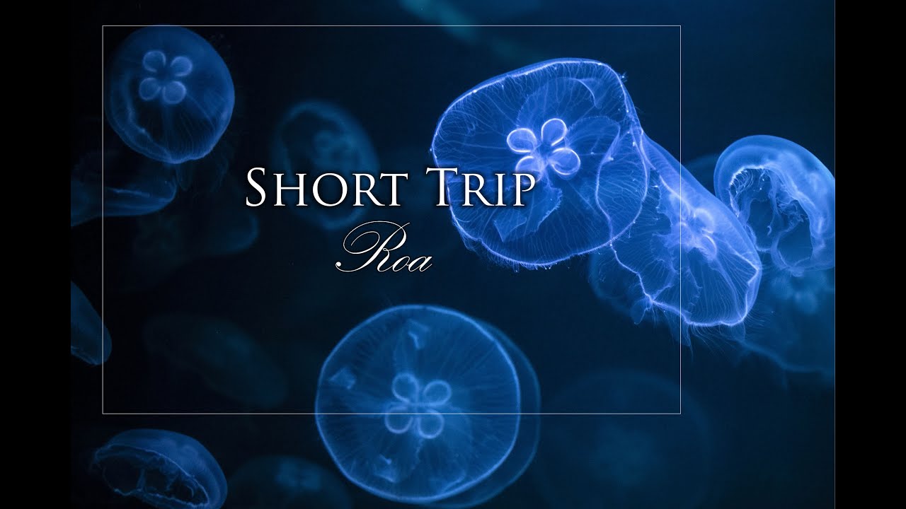Short Trip - Roa - YouTube