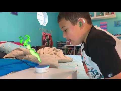 How To Get Alexa To Fart - YouTube