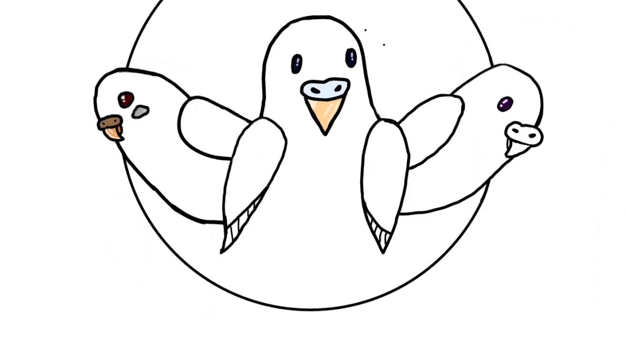 Drawing of budgies - YouTube