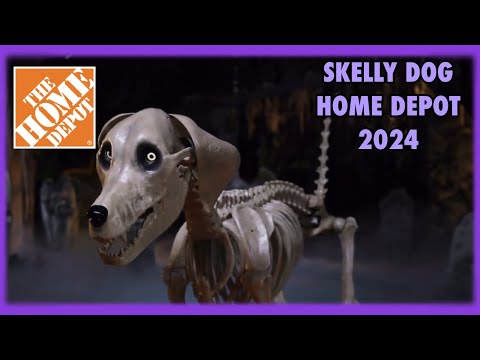 Home Depot Halloween SKELLY DOG PROP | NEW for 2024 - YouTube