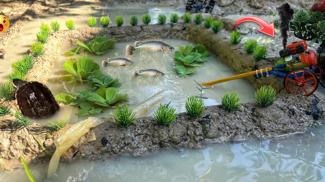 Amazing Mini Tractor Pump Water in Action! Catching Fish & Turtle in ...