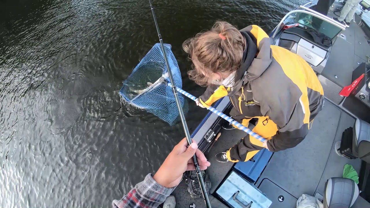 12 inch Suick Fish - YouTube