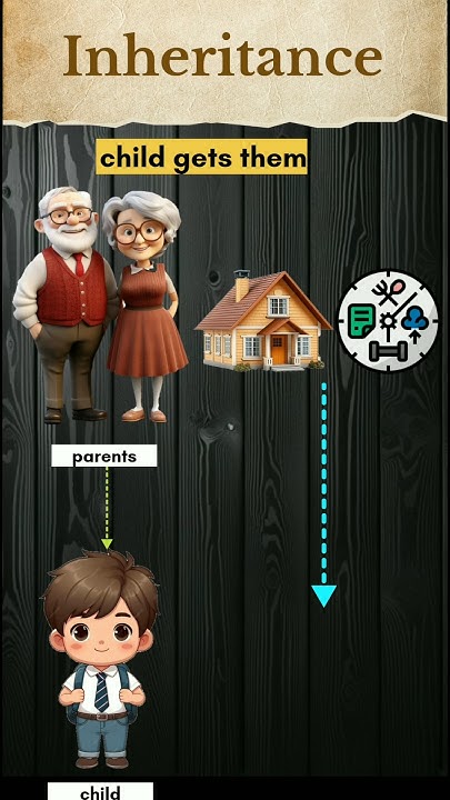 inheritance in python simply explained for beginners | #inheritance # ...
