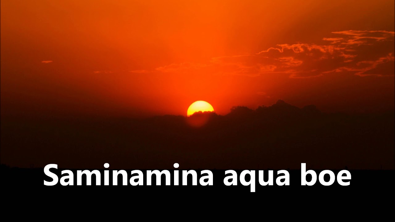 Bands on tour - (Africa) Saminamina song with vocals - YouTube