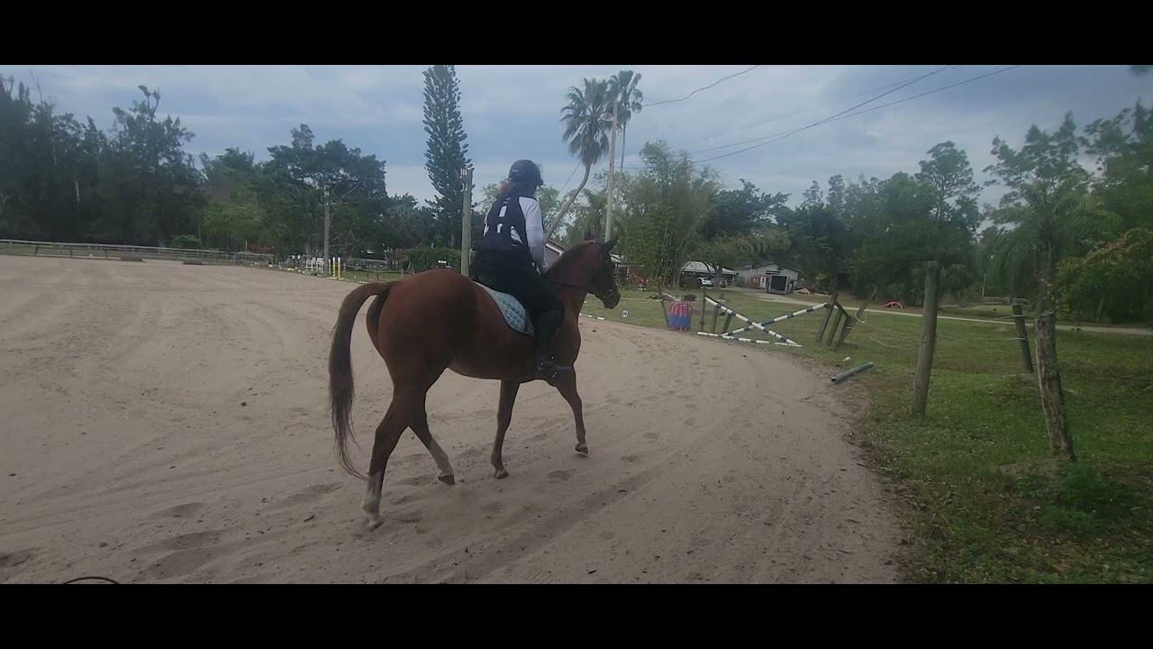 Diane & Sheldon TL1: January 16, 2025 - YouTube