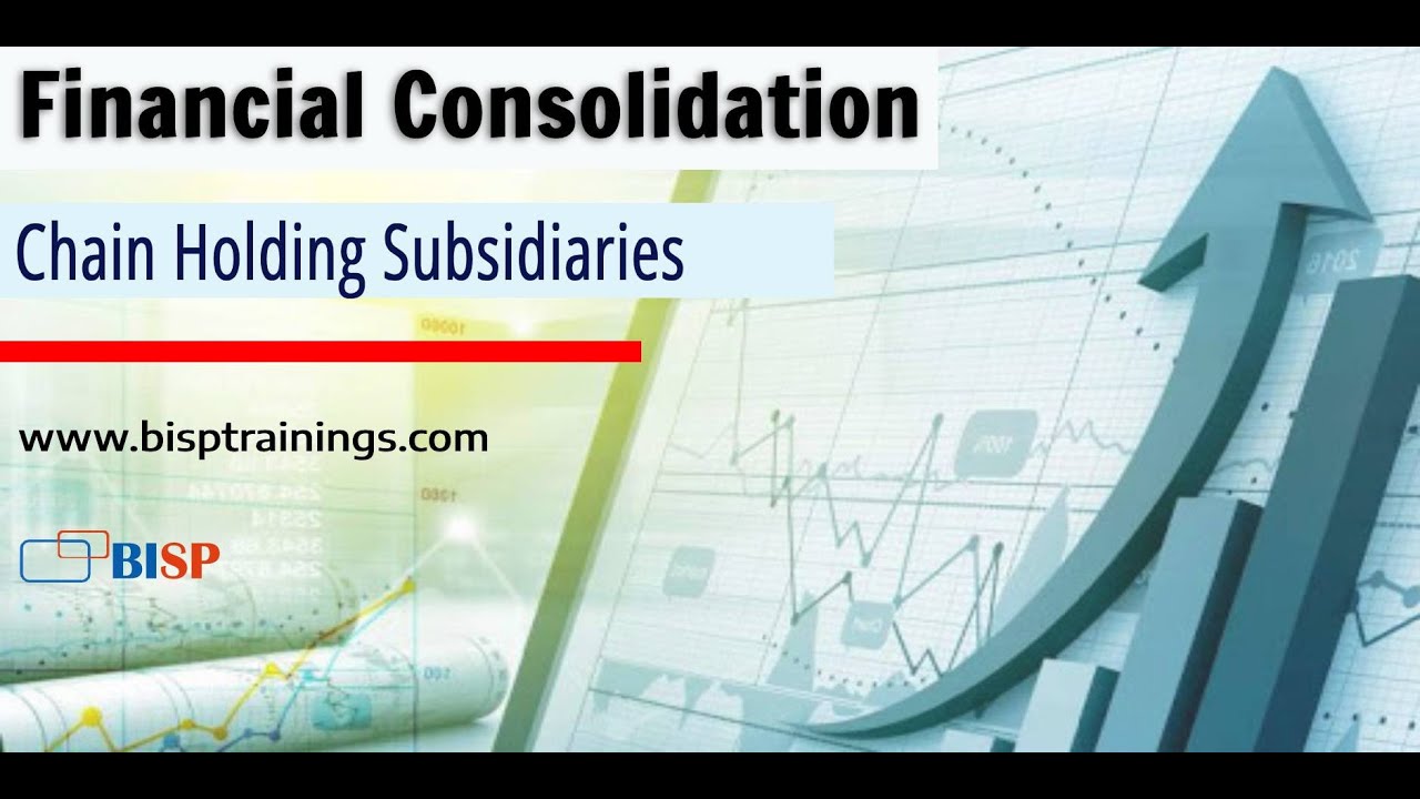 Chain Holding Subsidiaries | Financial Consolidation Chain Holding ...