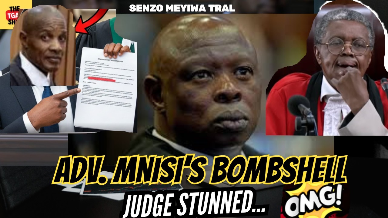 SENZO MEYIWA CASEII 📢👀WATCH ADV. MNISI'S BOMBSHELL EXPOSES ADV. BALOYIS ...