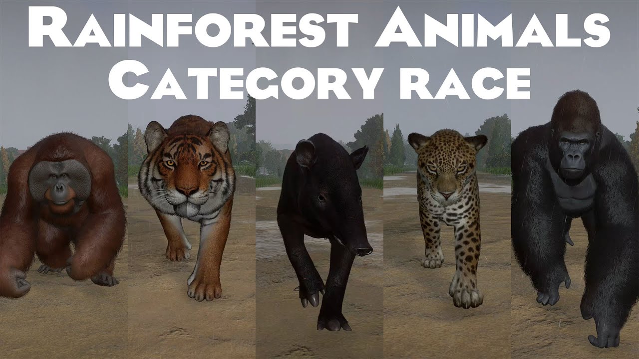 Rainforest Animals Races in Planet Zoo included Tiger, Indian Leopard ...