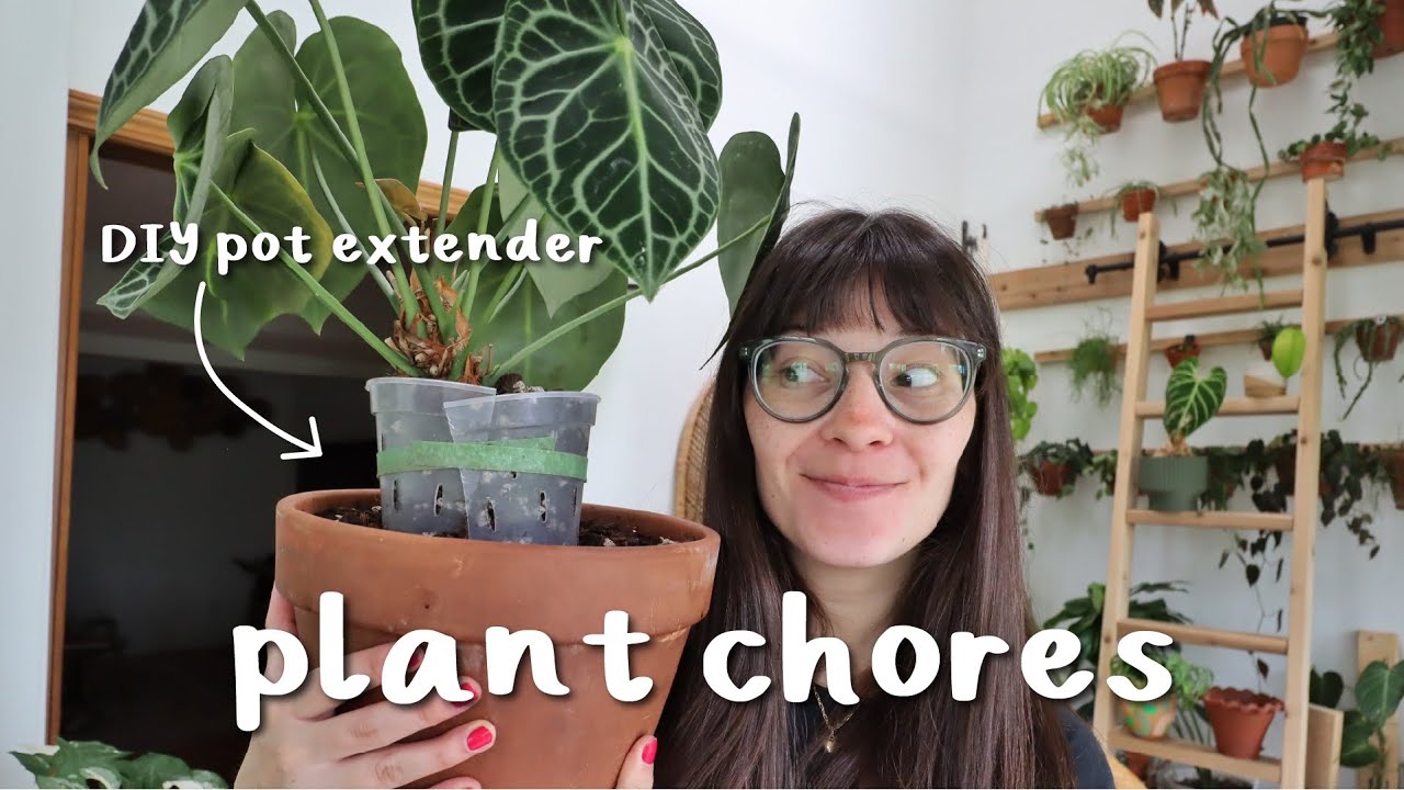 PLANT CHORES propagating, & a DIY pot extender! - YouTube
