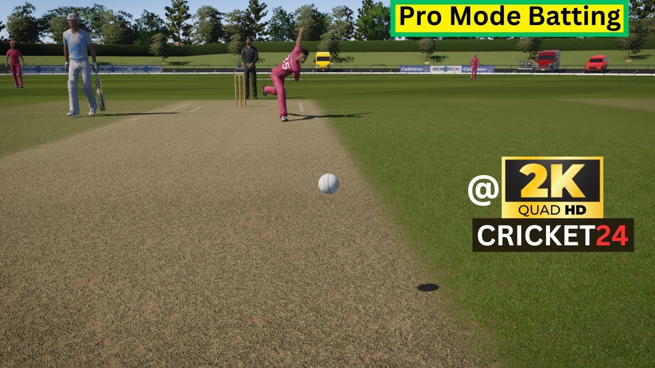 Beauty of Pro Mode Batting Style in Cricket 24 - YouTube