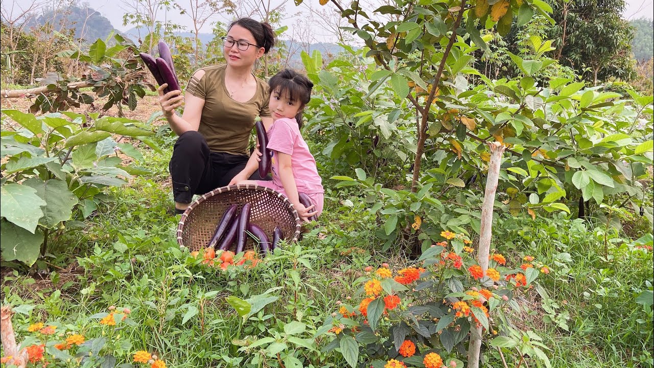 Xuan Vy And Her Mother Harvest Bananas Tomatoes And Eggplants After