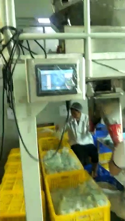 Semi-automatic Multihead Weigher Packing System - YouTube