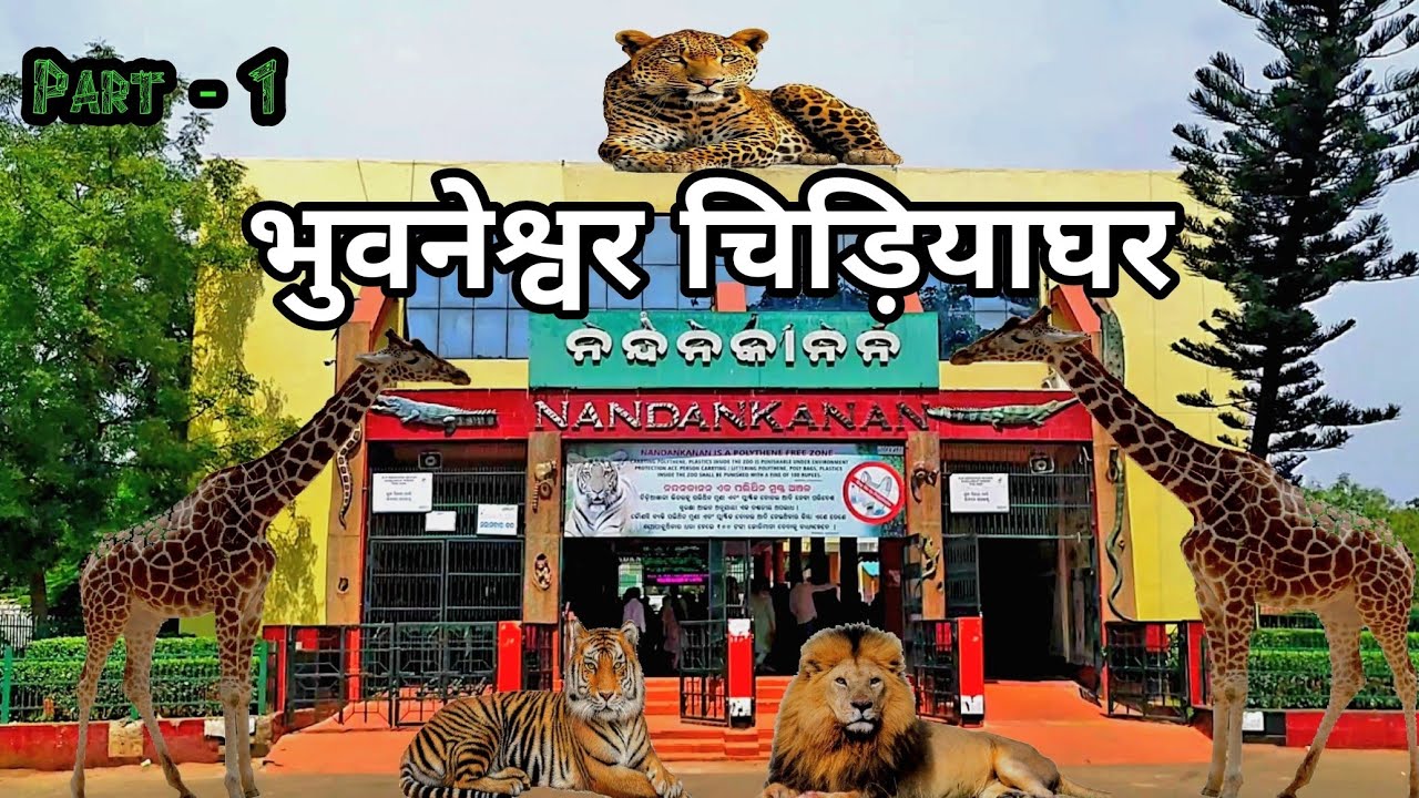 Nandankanan Zoological Park | Bhubaneswar Zoo | भुवनेश्वर चिड़ियाघर ...