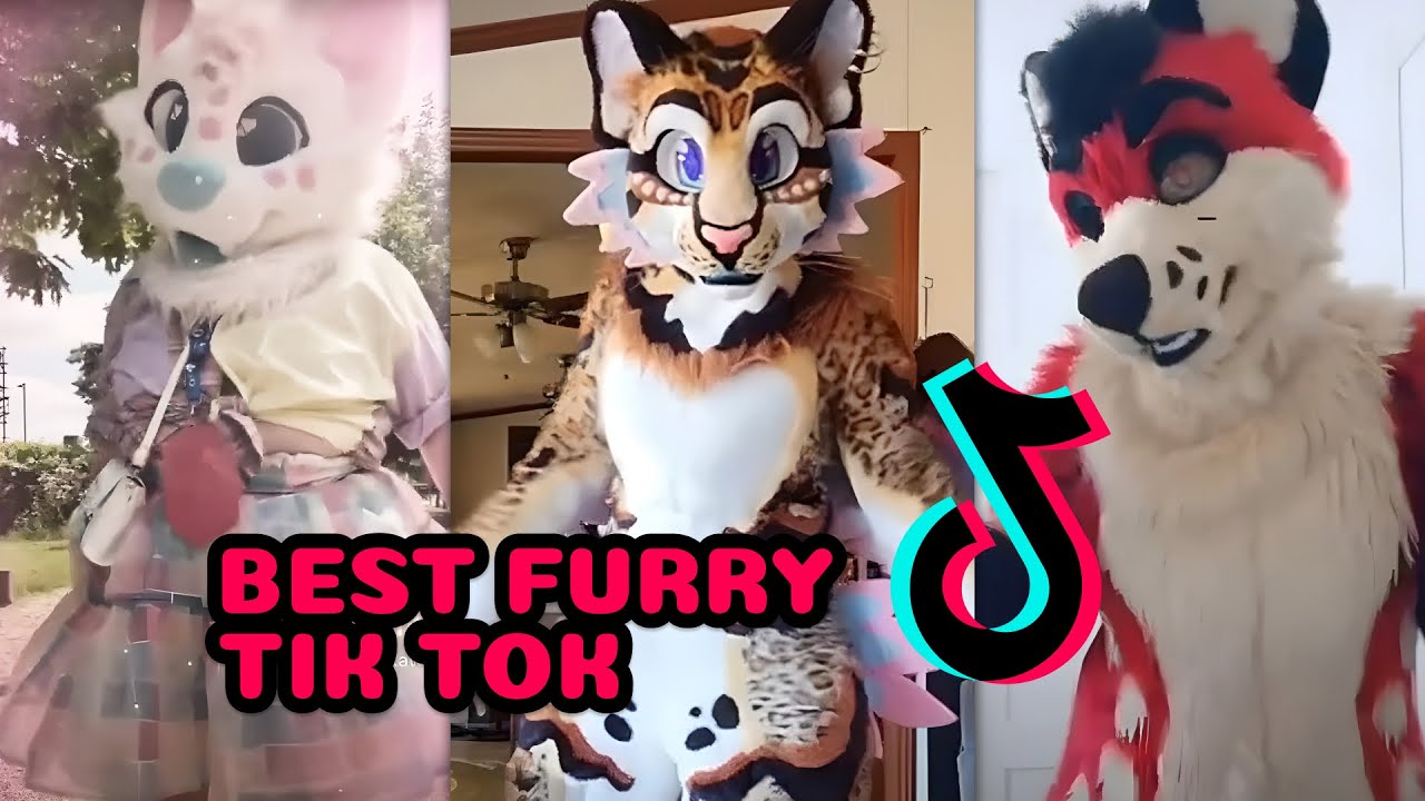 Best Furry TikToks 🐯 Fursuit TikToks Compilation [ Ep 106 ] - YouTube
