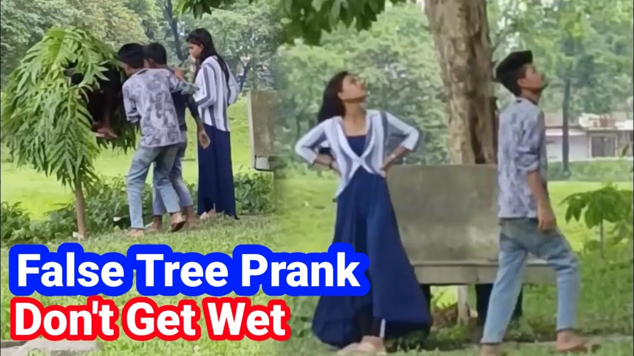Who is Stoning at Me? | False Tree Prank - YouTube