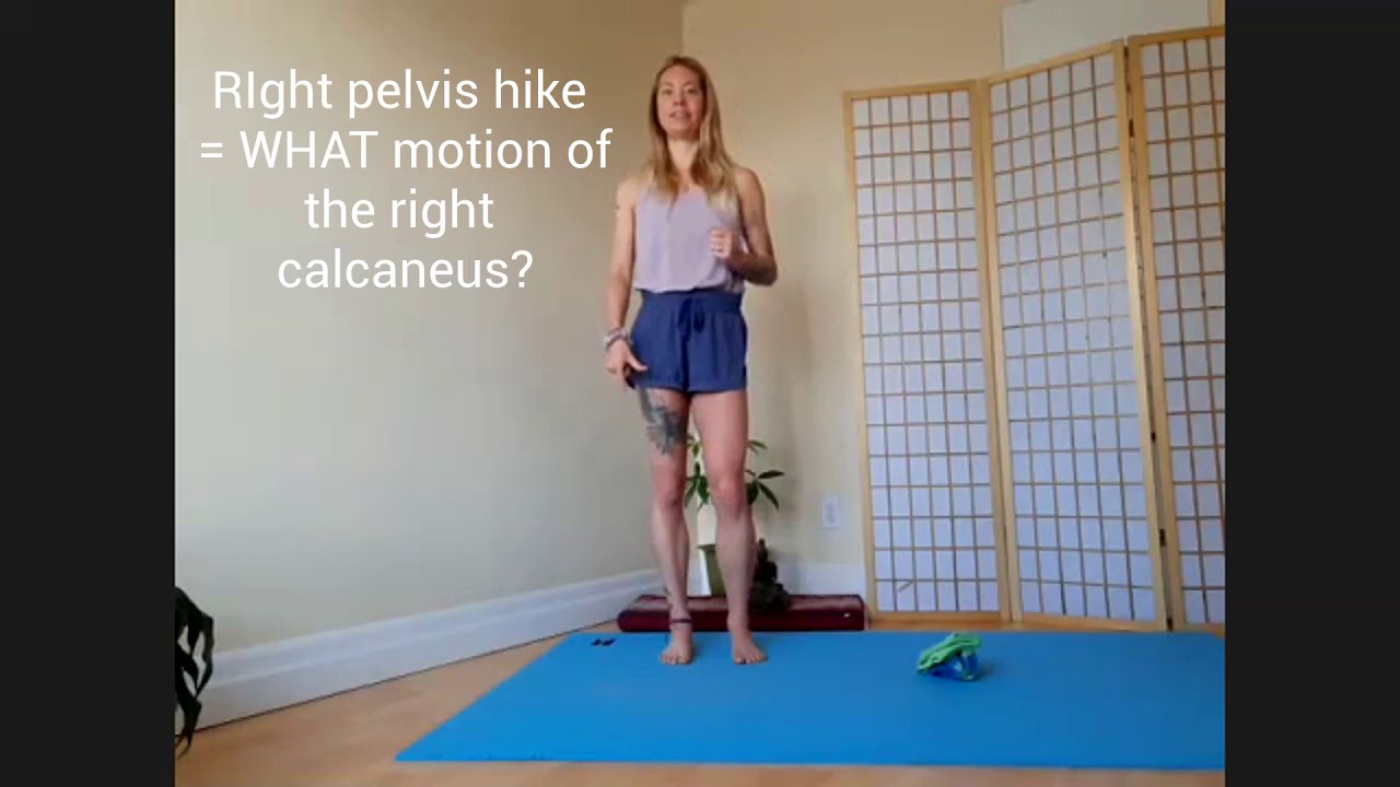 Calcaneus movement check-in #2, the pelvis and calcaneus relationship ...