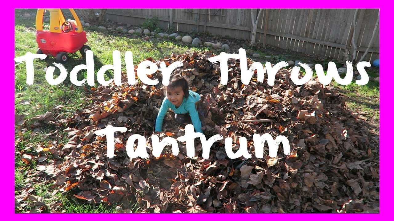 Toddler Throws Tantrum VLOGMAS Day 21 YouTube Toddler Throws Tantrum VLOGMAS Day 21 YouTube