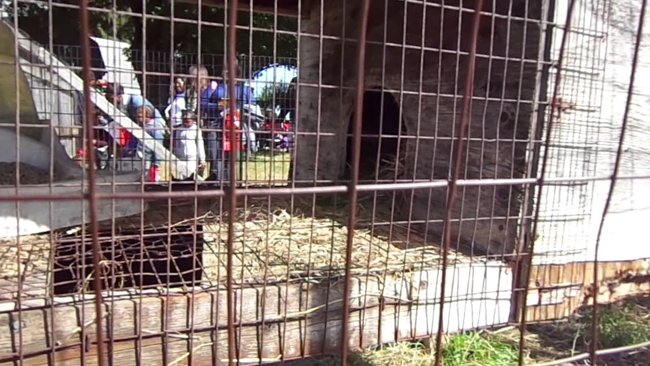 VLOG 008 | Apple Picking At Masker Orchards - YouTube