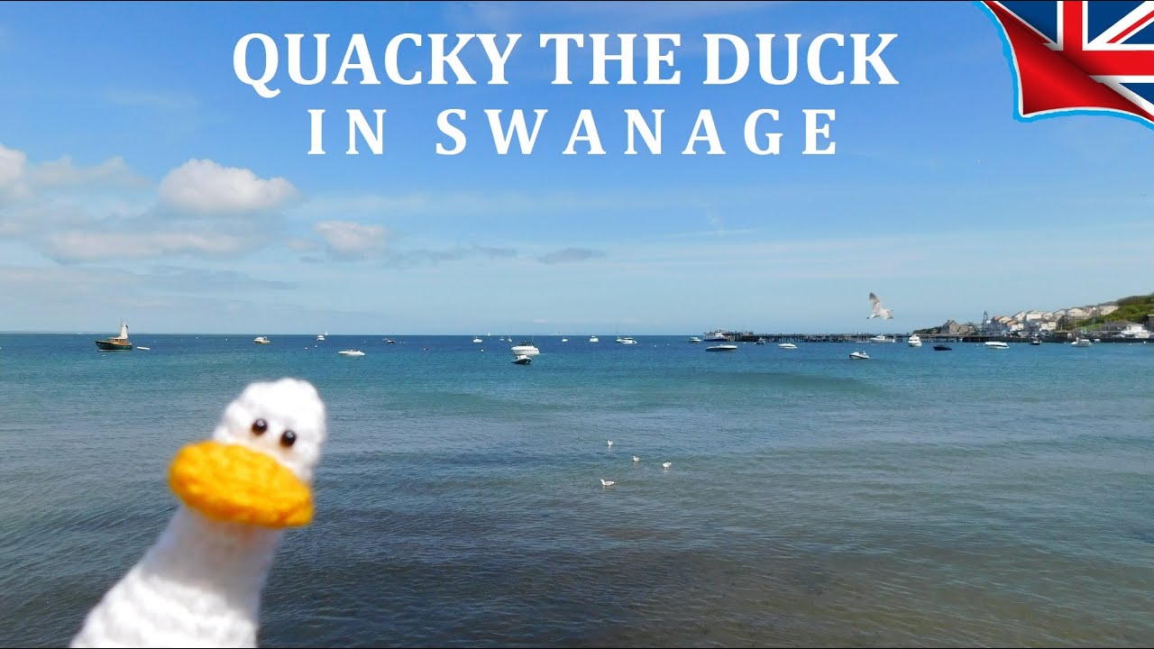 Quacky The Duck in Swanage! 🦆😊 #QUACKYTHEDUCK #SWANAGE - YouTube