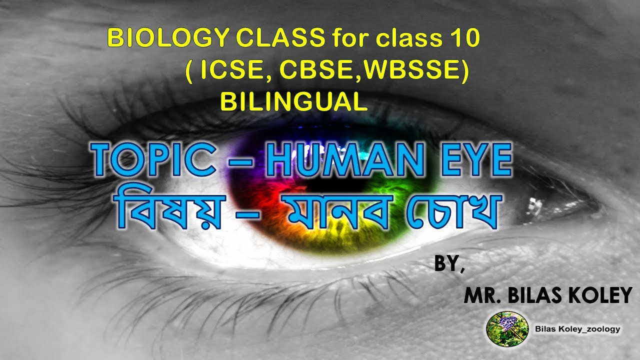 STRUCTURE OF HUMAN EYE | DEFECTS OF VISION AND THEIR CORRECTION | CLASS ...