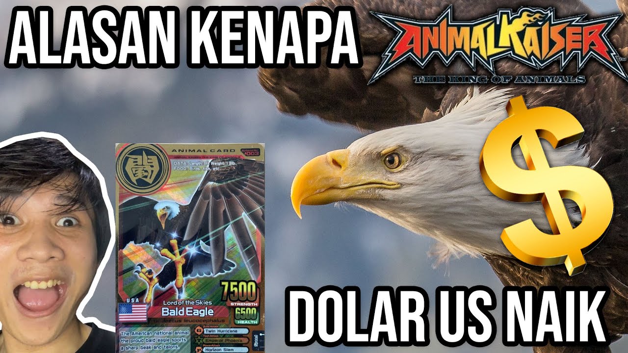 INILAH PENYEBAB DOLLAR US NAIK! BALD EAGLE AMERIKA ANIMAL KAISER PC ...
