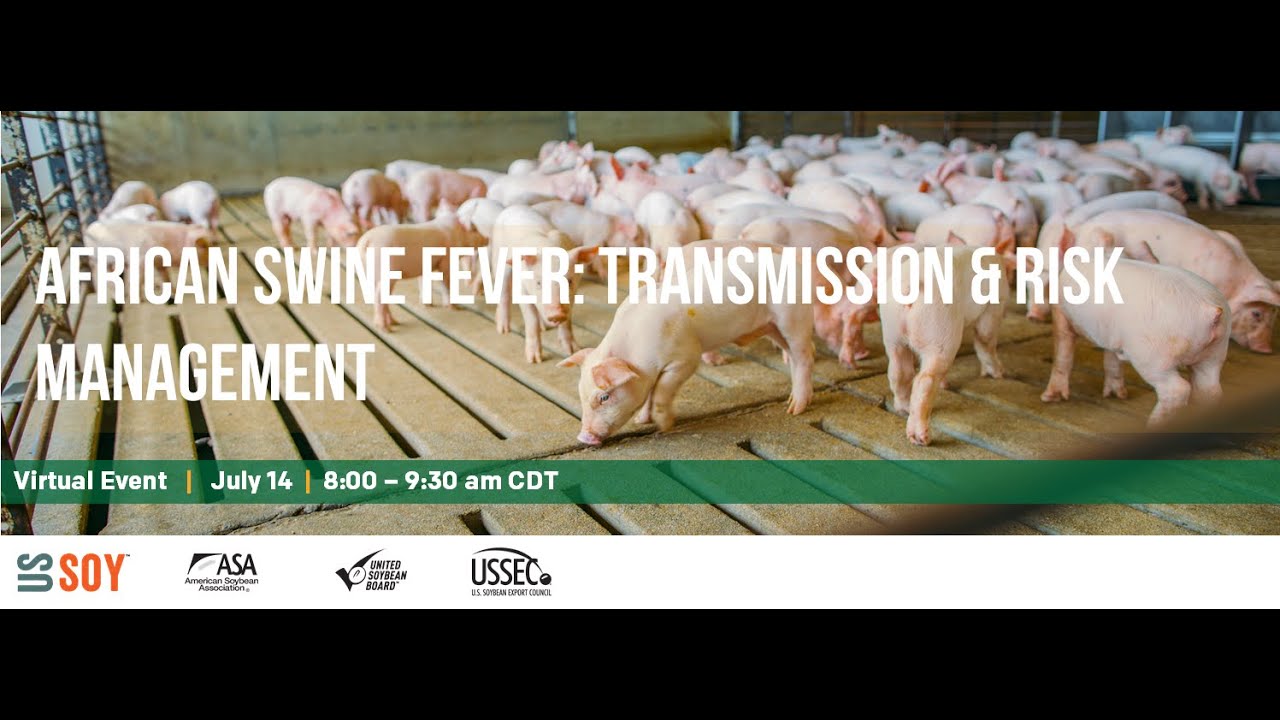 ASF Transmission & Risk Management - YouTube