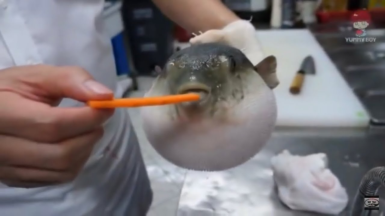 Fish is a carrot and is moaning - YouTube