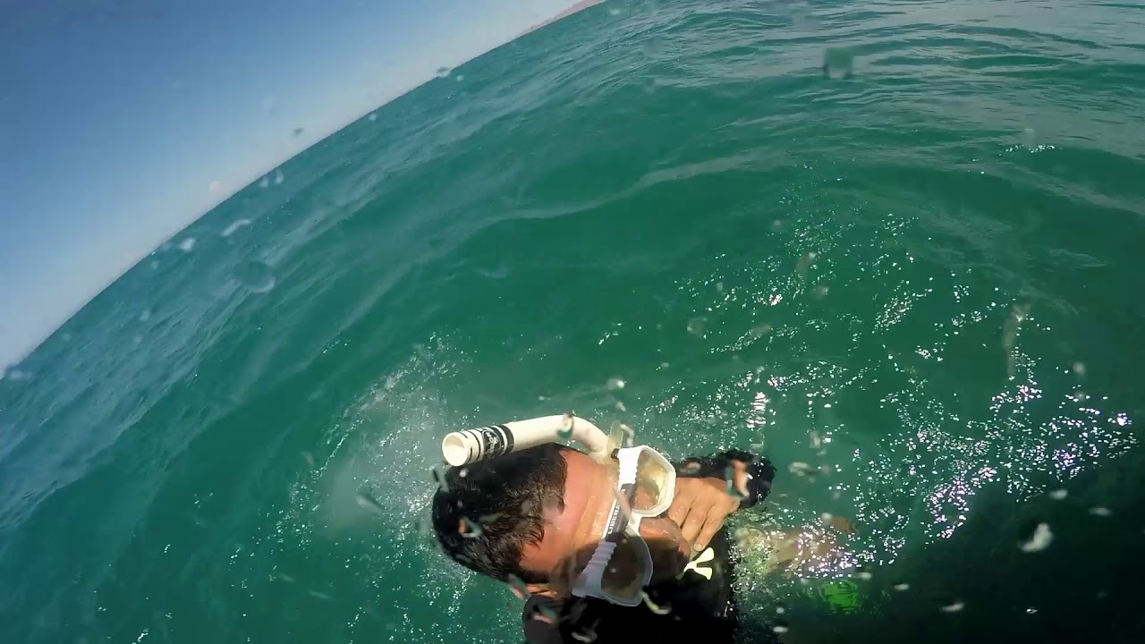 Punta Bufeo. Baja California - YouTube