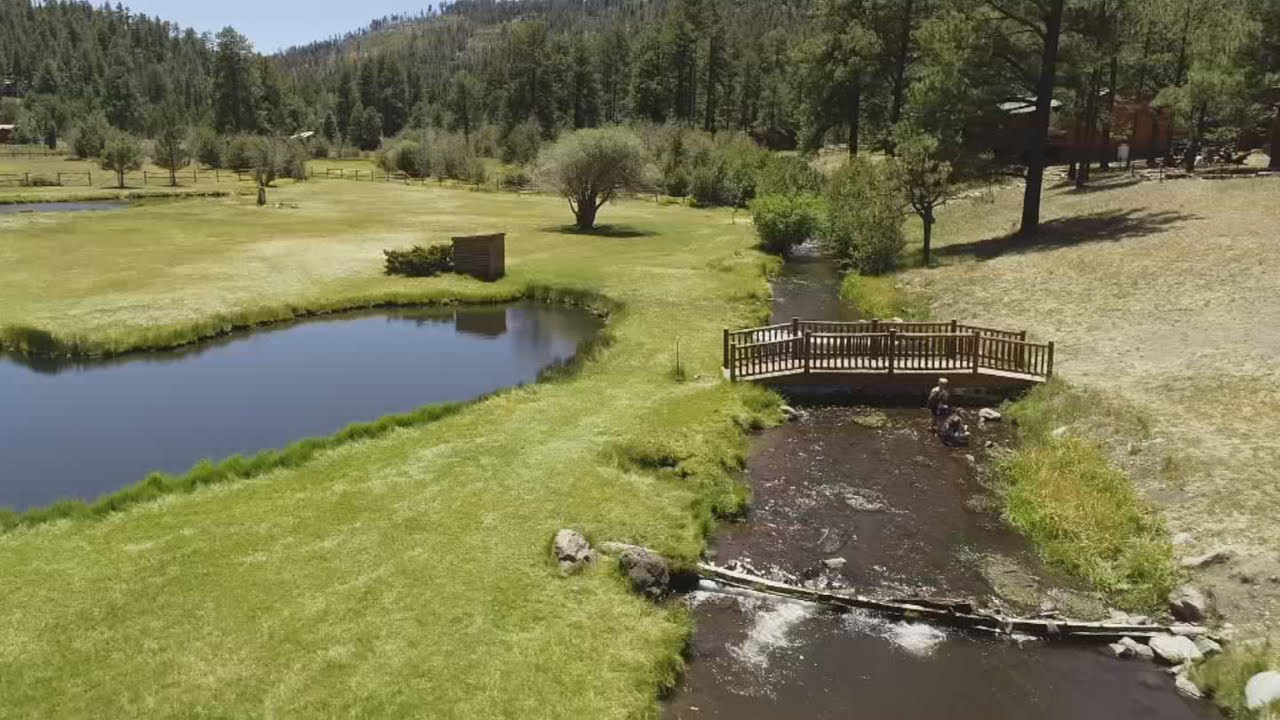 Unlock Greer, AZ: The Ultimate Map & Guide You NEED to See ...