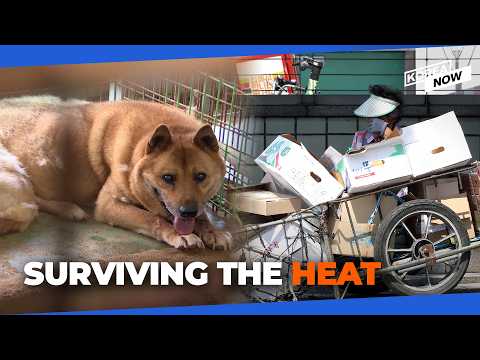 Record heat wave sweeps South Korea, putting lives at risk