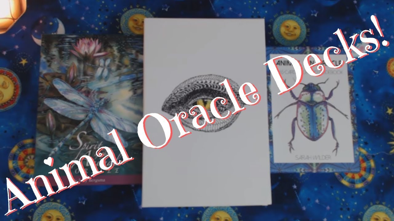 Animal Kin Oracle Walkthrough - and my experience with Animal Oracles ...